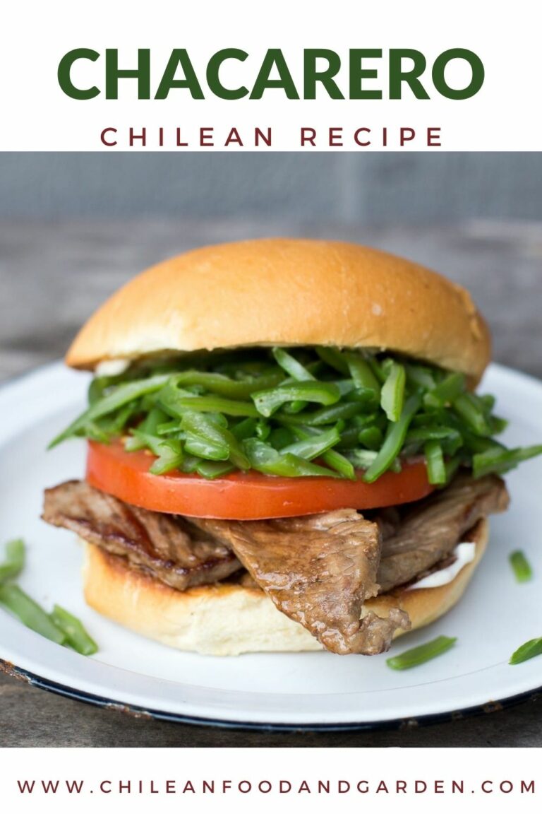 Chilean Chacarero Sandwich - Pilar's Chilean Food & Garden