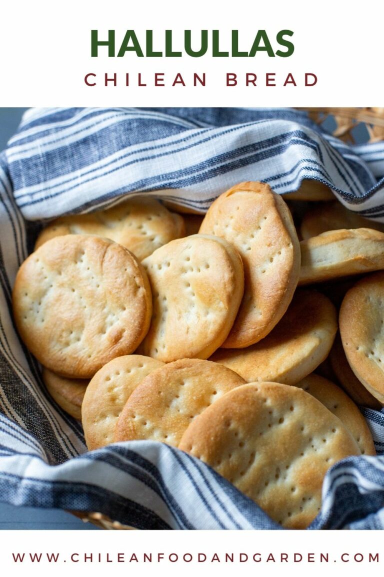 Hallullas Chilean Bread - Pilar's Chilean Food & Garden