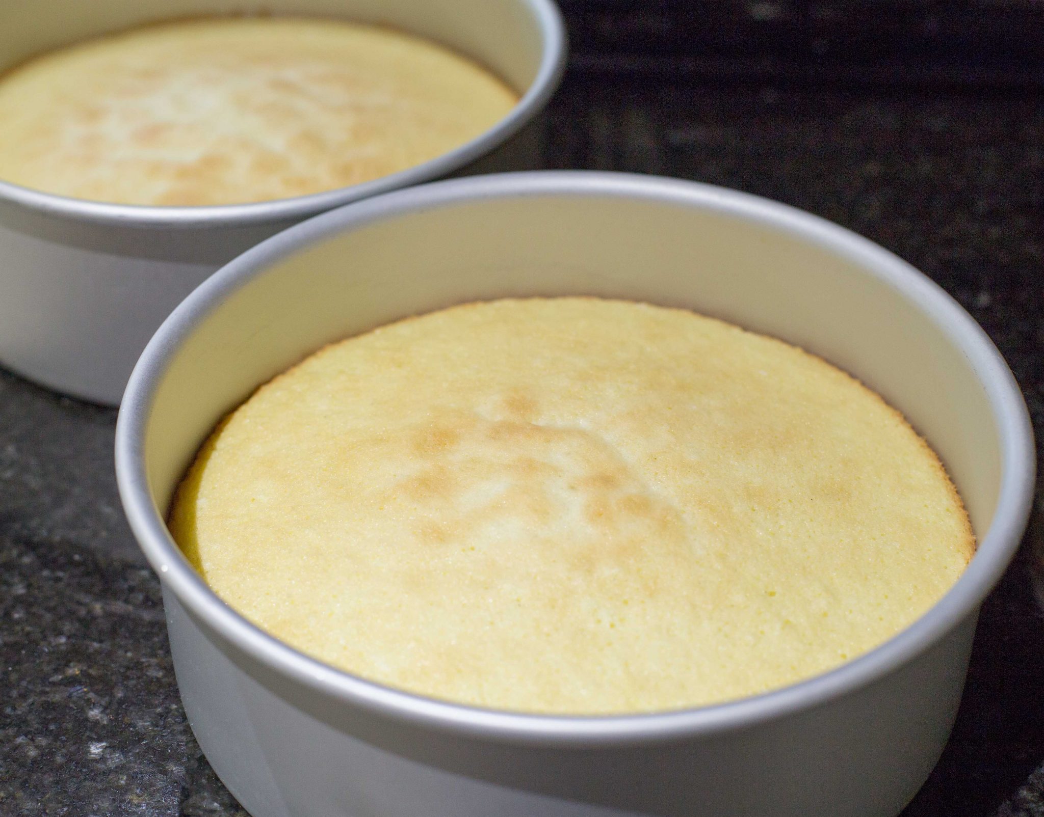 Vanilla Genoise Cake - Pilar's Chilean Food & Garden