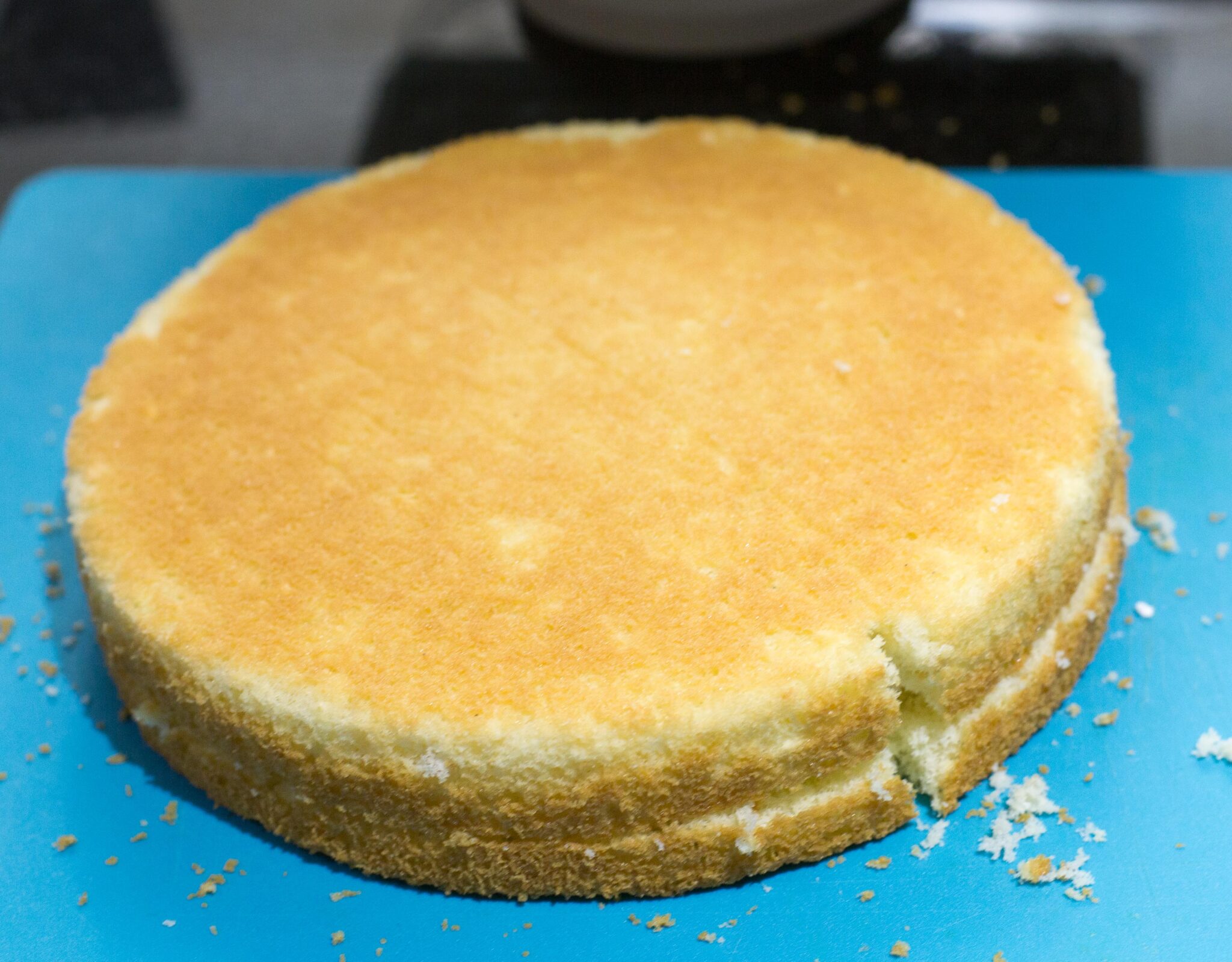 Vanilla Genoise Cake - Pilar's Chilean Food & Garden