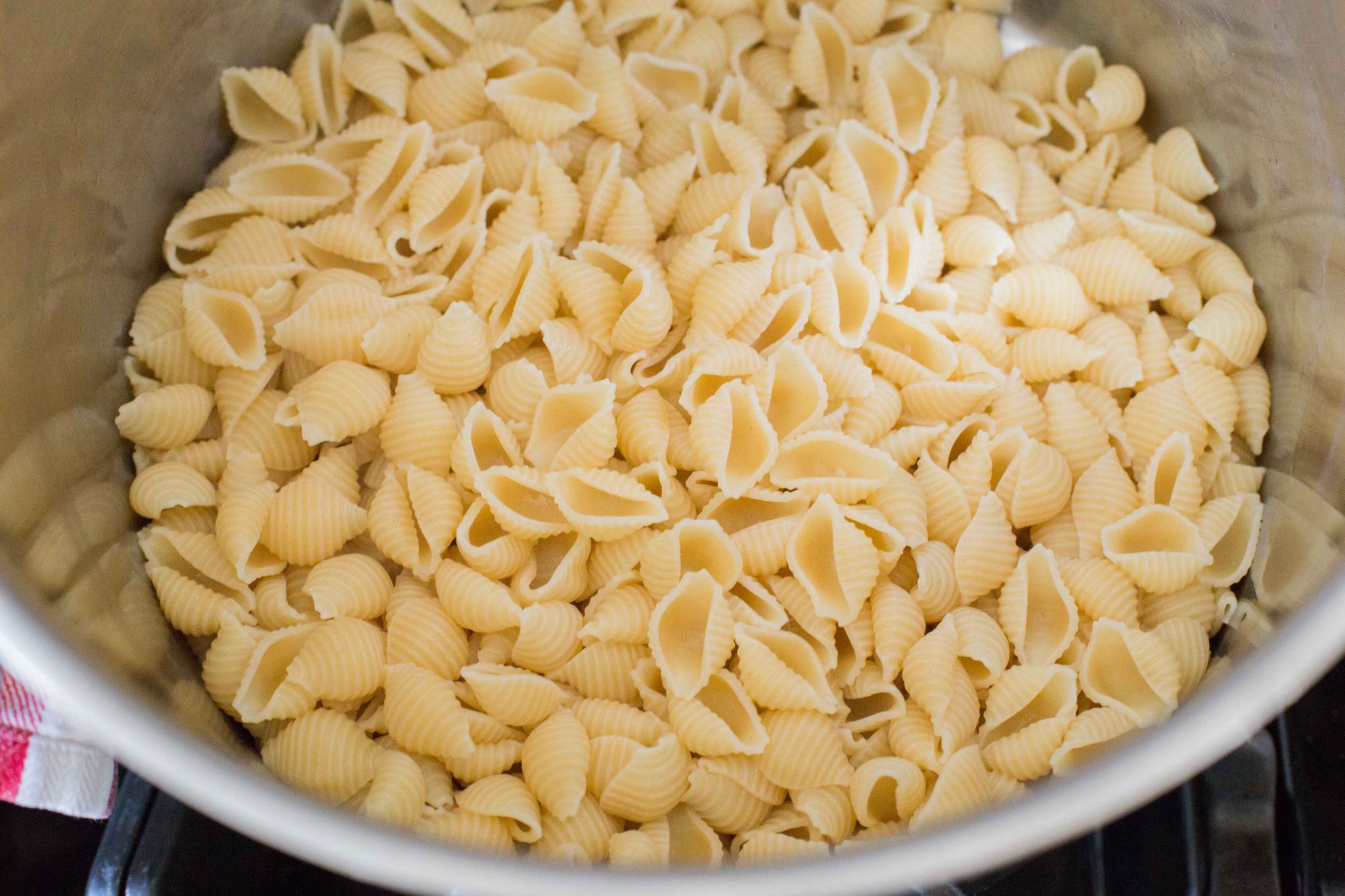 Caracoquesos Pasta Shells With Cheese Sauce - Pilar's Chilean Food & Garden