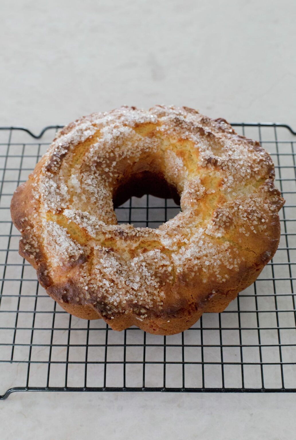Basic Chilean Bundt Cake - Pilar's Chilean Food & Garden