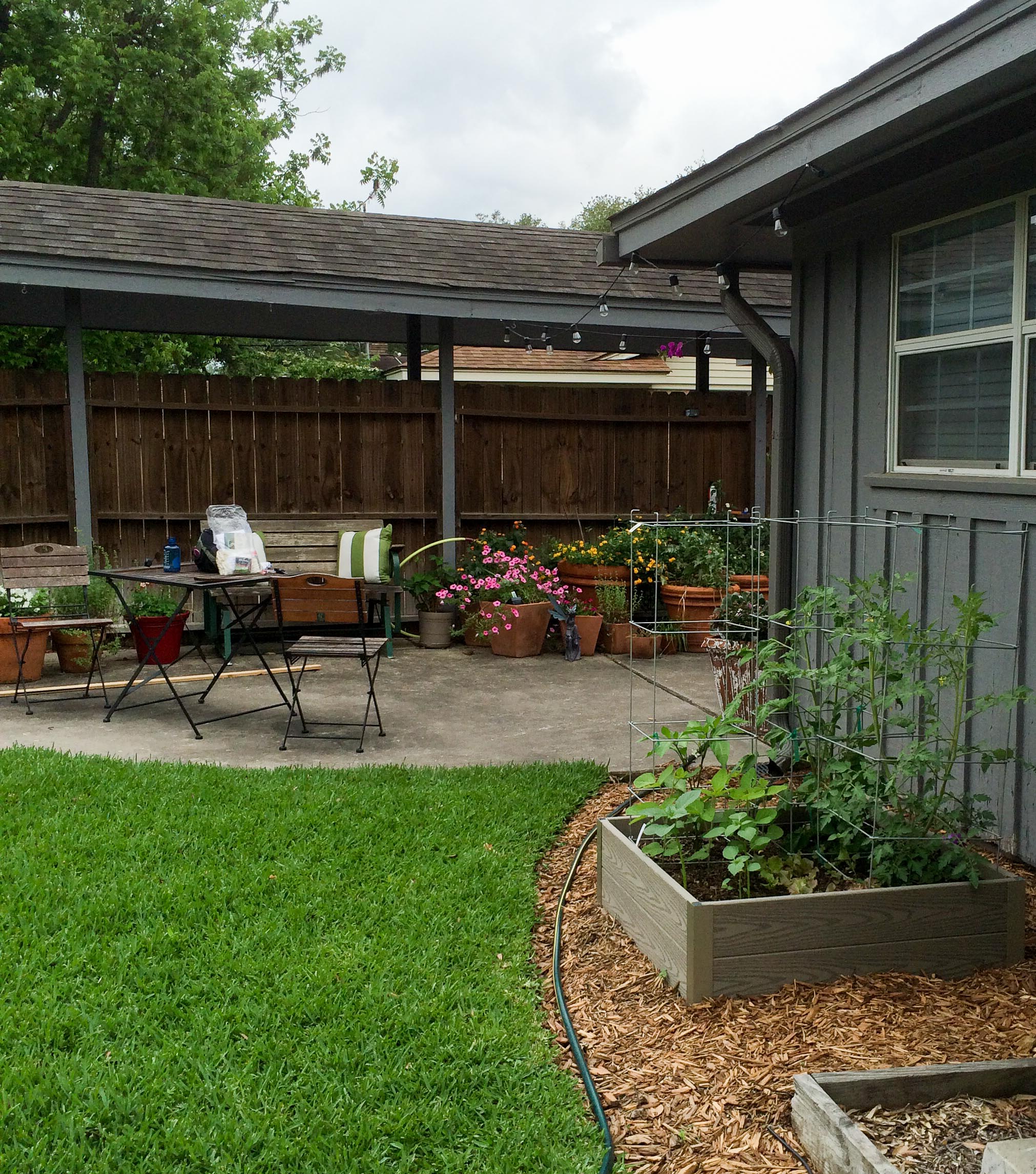 Houston Backyard Gardens: Meyerland 2008-16 - Pilar's Chilean Food & Garden