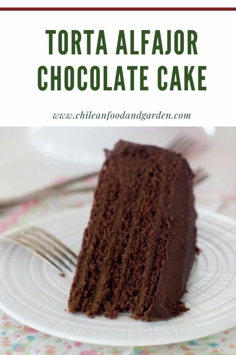 Torta Alfajor Chocolate Cake - Pilar's Chilean Food & Garden