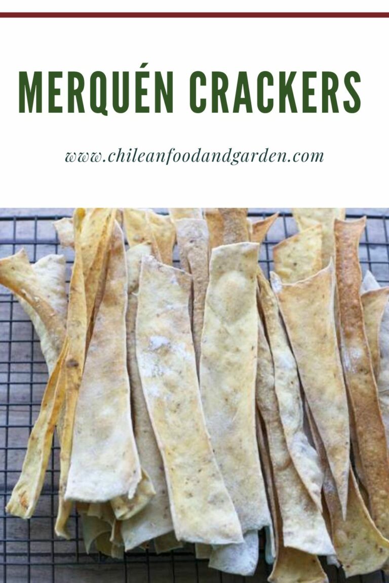 Merquén Crackers - Pilar's Chilean Food & Garden