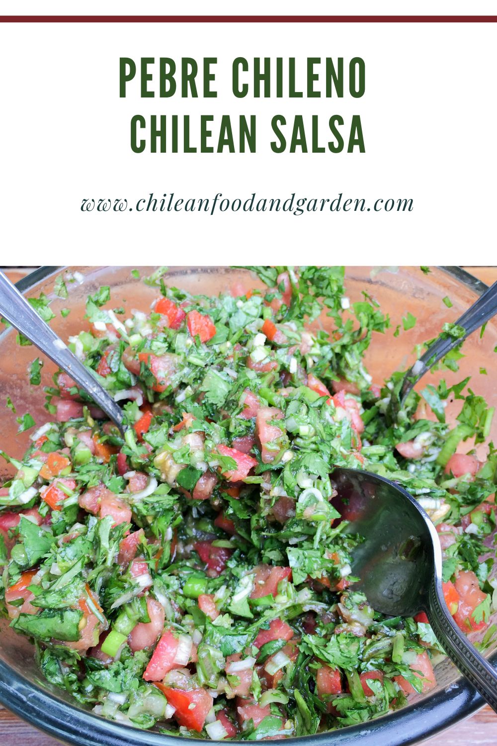 Easy Pebre Recipe - Pilar's Chilean Food & Garden