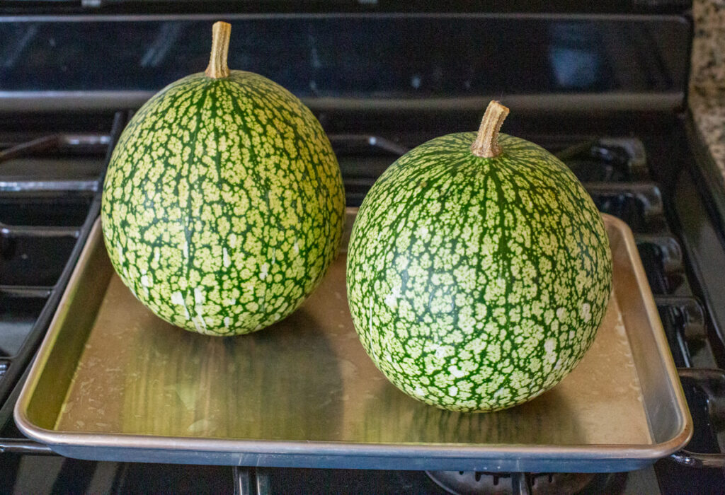 The Chilean Pantry - Pilar's Chilean Food & Garden