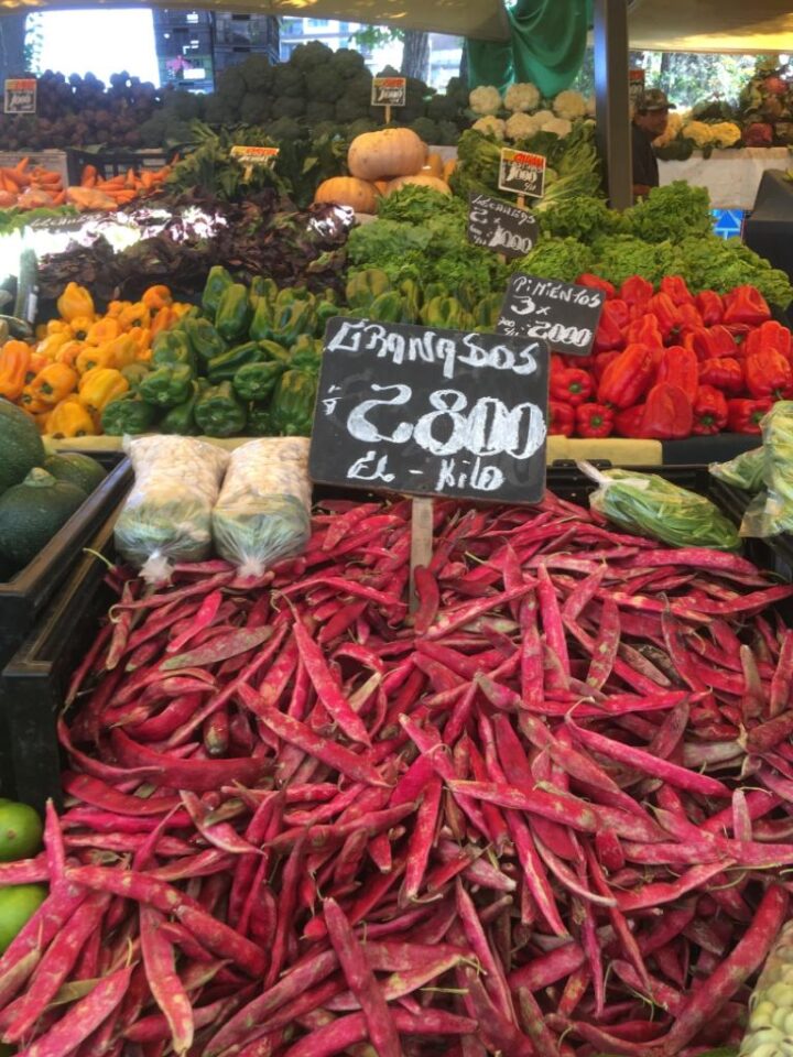 Chilean Vegetables - Pilar's Chilean Food & Garden