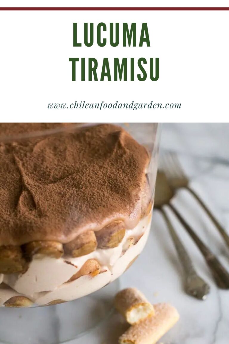 Lucuma Tiramisu - Pilar's Chilean Food & Garden