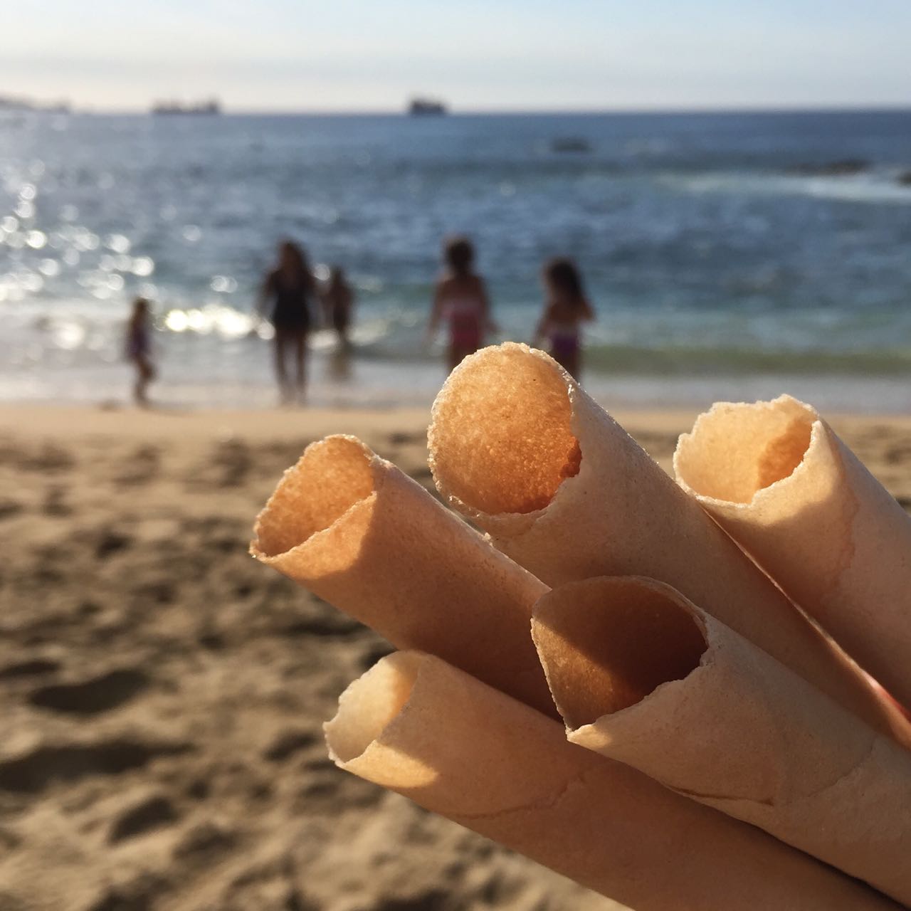 Chilean Cookies & Candy - Pilar's Chilean Food & Garden