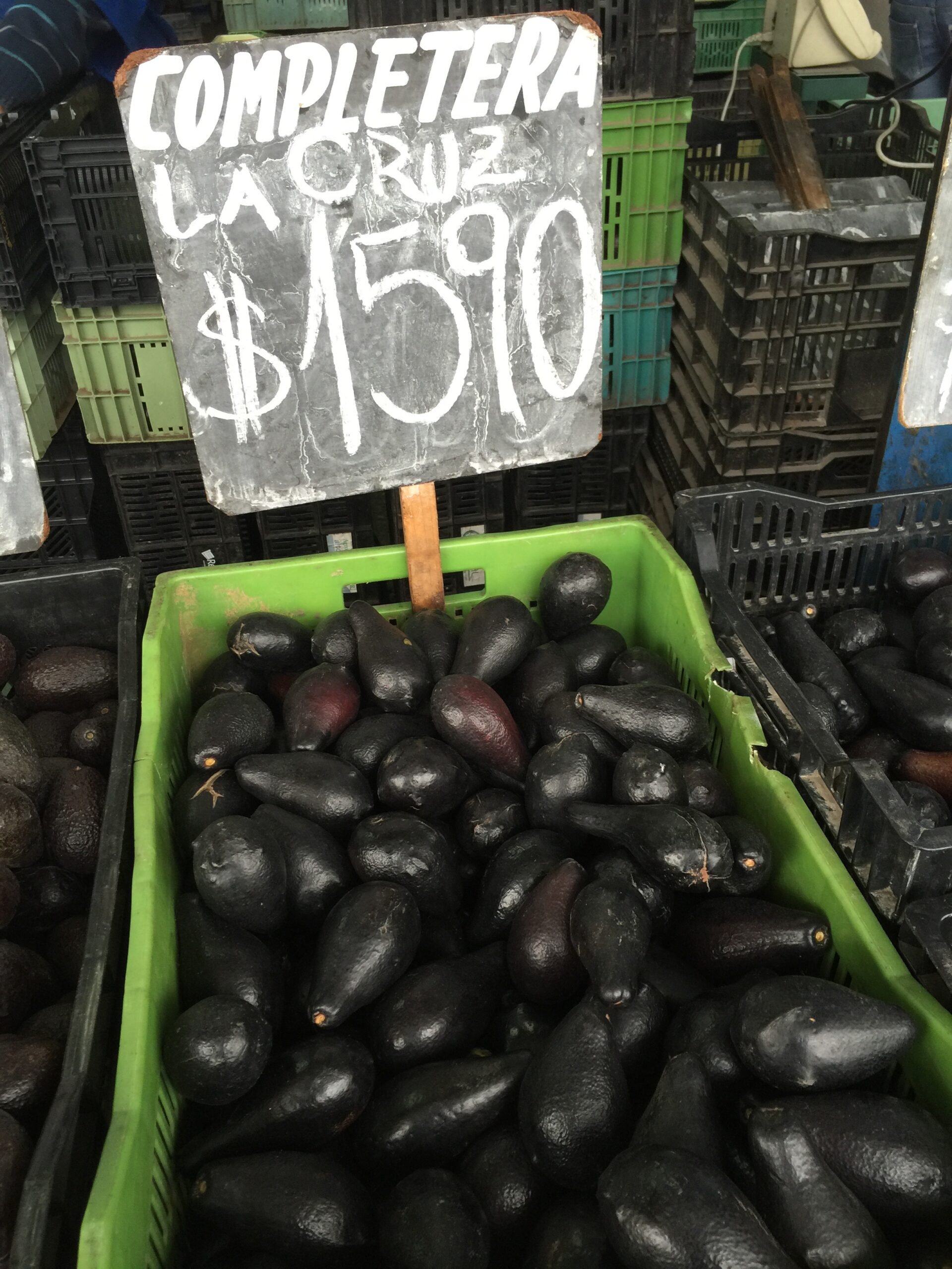 Chilean Vegetables - Pilar's Chilean Food & Garden