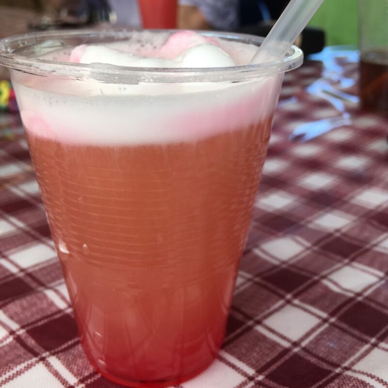 Terremoto drink - Pilar's Chilean Food & Garden