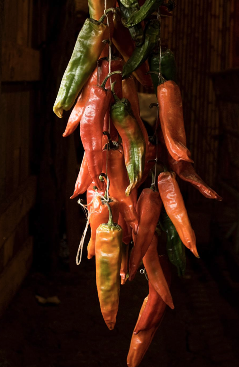 Chilean peppers and chiles - Pilar's Chilean Food & Garden