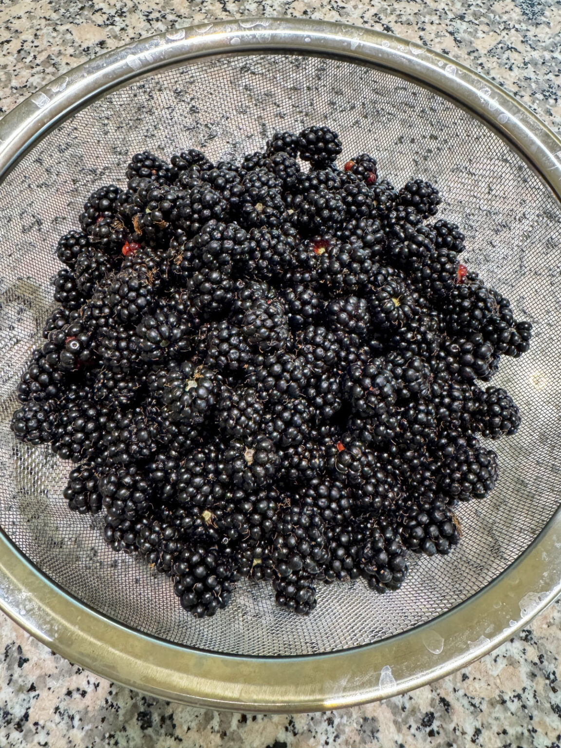 Mermelada de Mora Blackberry Jam - Pilar's Chilean Food & Garden
