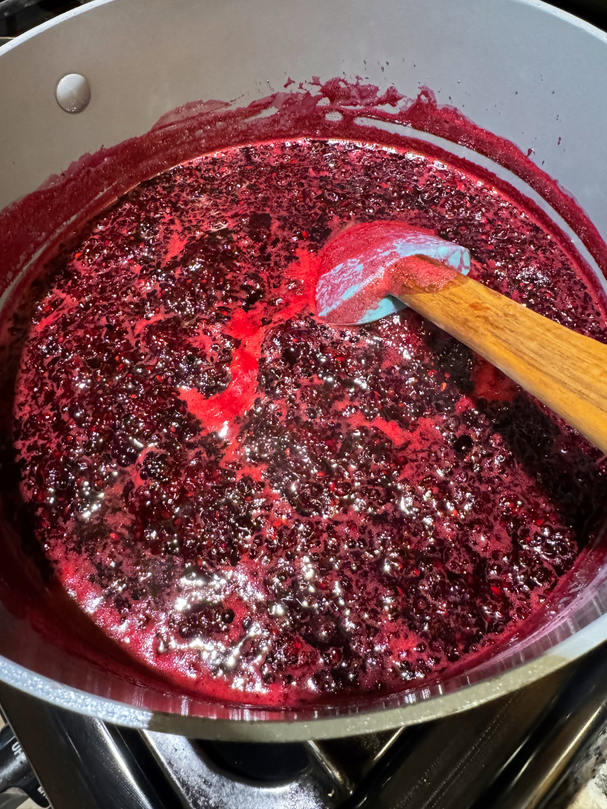 Mermelada de Mora Blackberry Jam - Pilar's Chilean Food & Garden